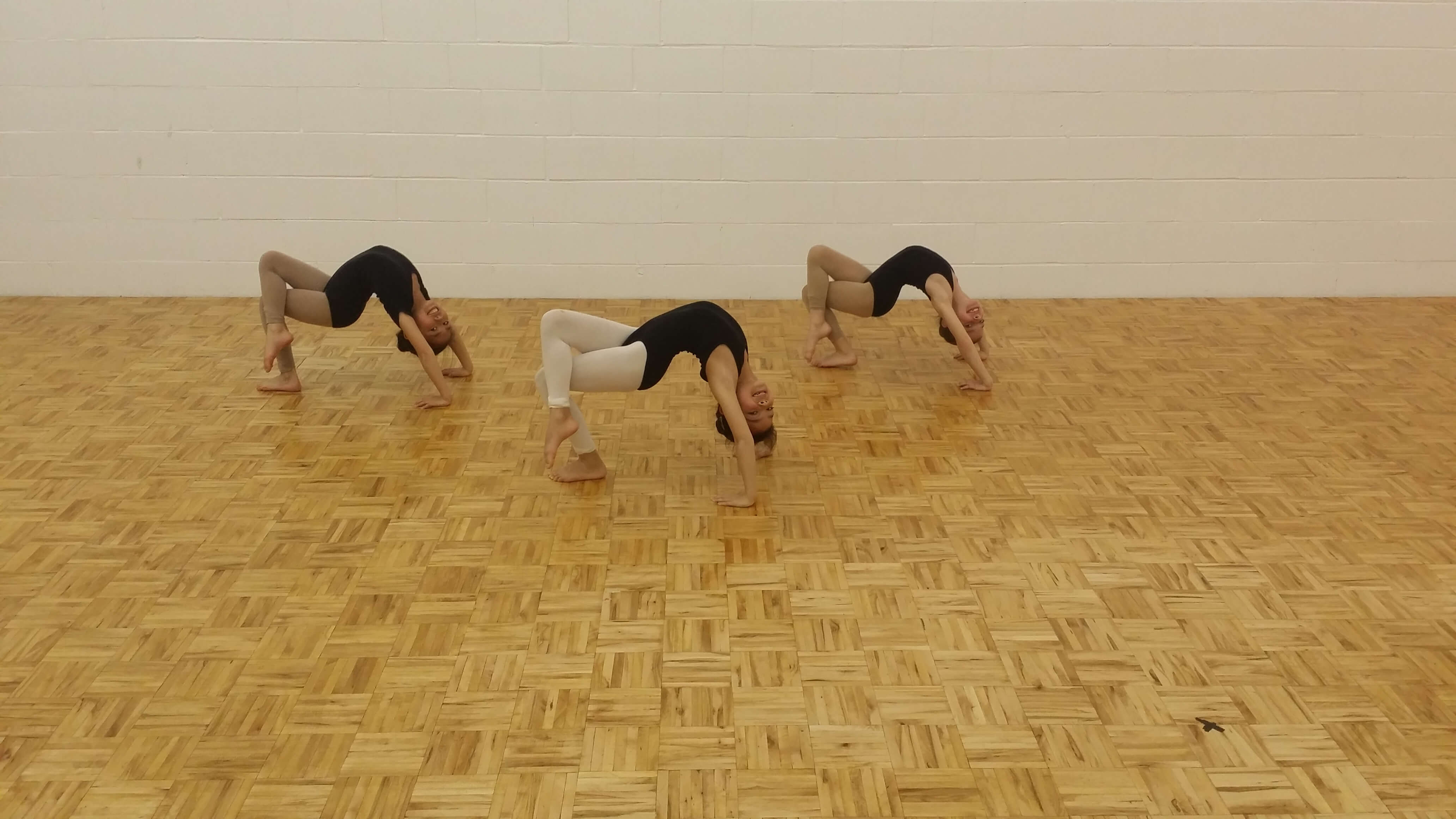 Pulse Dance Works™ Inc.